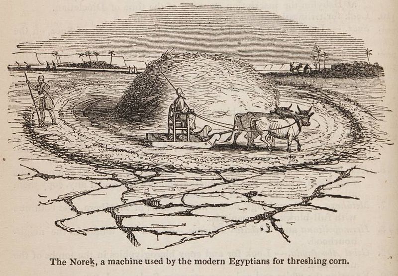 Threshing and Winnowing – A Cry For Justice