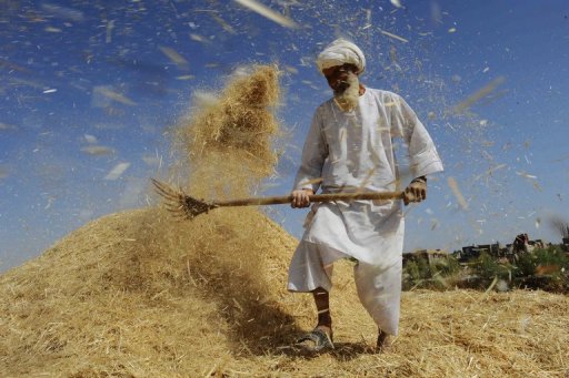 Threshing and Winnowing – A Cry For Justice