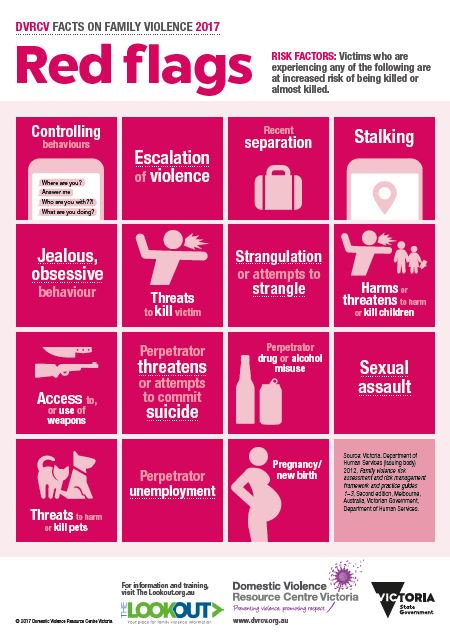 Red Flags indicating a victim is at high risk of being killed or almost ...